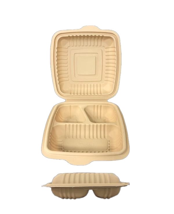 3 CP Clamshell Box [10 Pieces] – Winsome Paragon